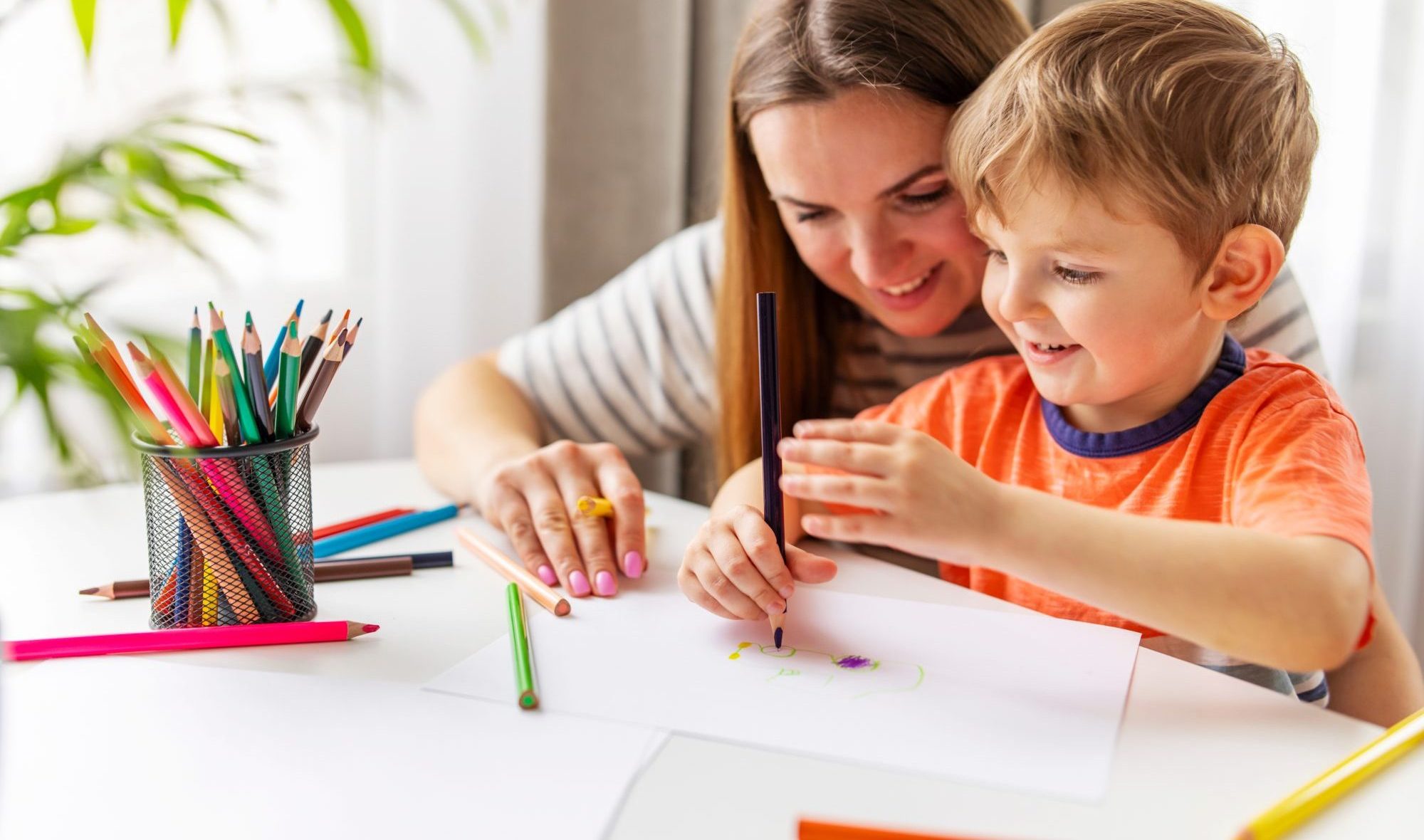 Paul Rossi Law | Guardianship Lawyers Crown Point | Merrillville ...